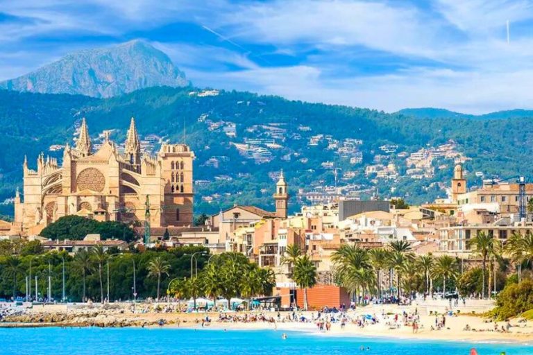 Dolphin watching in Palma - Best tours and excursions